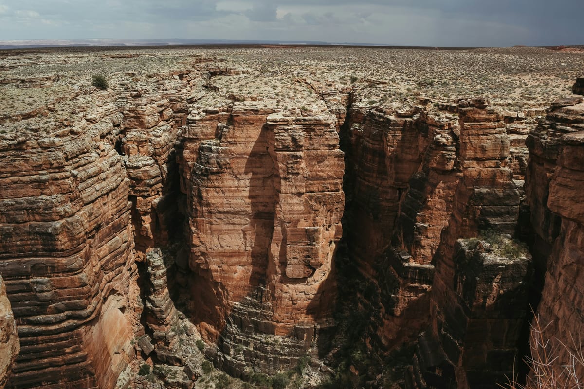 They Wanted to Own The Libs